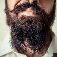 Balbas - english translation, synonyms, pronunciation, definition ...