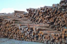 Lumbering - malayalam translation, synonyms, pronunciation, definition ...