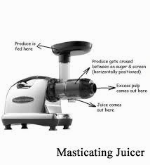 Masticating - filipino translation, synonyms, pronunciation, definition ...