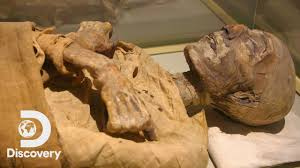 Mummies - english translation, synonyms, pronunciation, definition ...