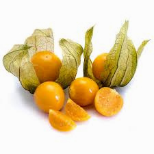 Physalis - somali translation, synonyms, pronunciation, definition ...