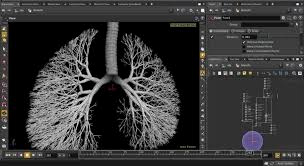 Procedural - filipino translation, synonyms, pronunciation, definition ...