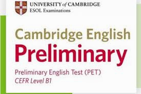 Preliminary - terjemahan bahasa indonesia, sinonim, pengucapan, arti ...