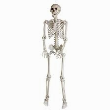 Skeleton - swahili translation, synonyms, pronunciation, definition ...