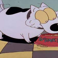 Spunky - english translation, synonyms, pronunciation, definition ...