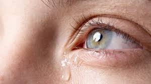 Tear - albanian translation, synonyms, pronunciation, definition ...