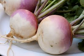 Turnip - filipino translation, synonyms, pronunciation, definition ...