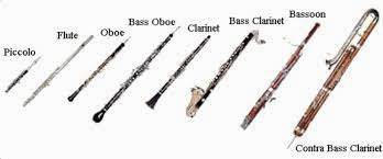 Woodwind - english translation, synonyms, pronunciation, definition ...